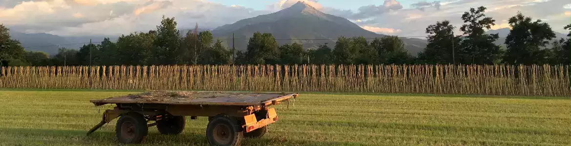 Comune di Beinette - Home Page